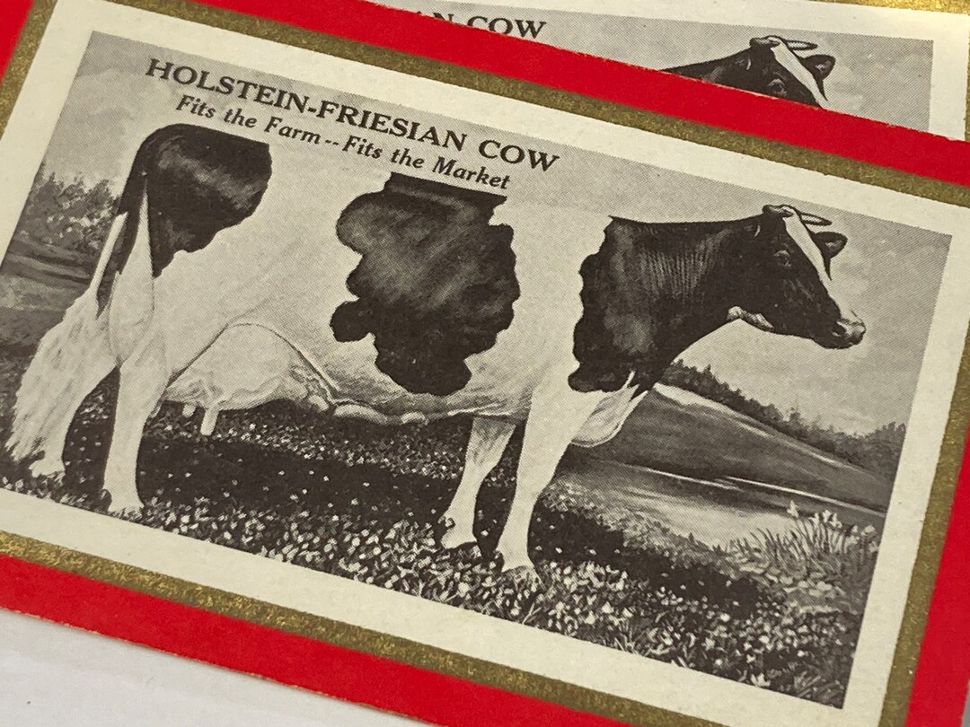 VTG Holstein-friesian Cow Playing Cards Remembrance Playing Cards Redi ...