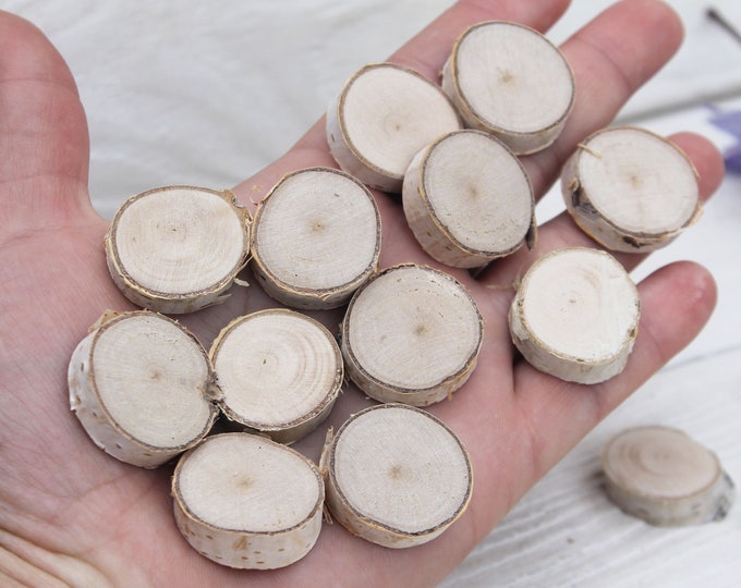 20 Mini Birch Slices Small Wood Slices White Birch Pieces - Etsy