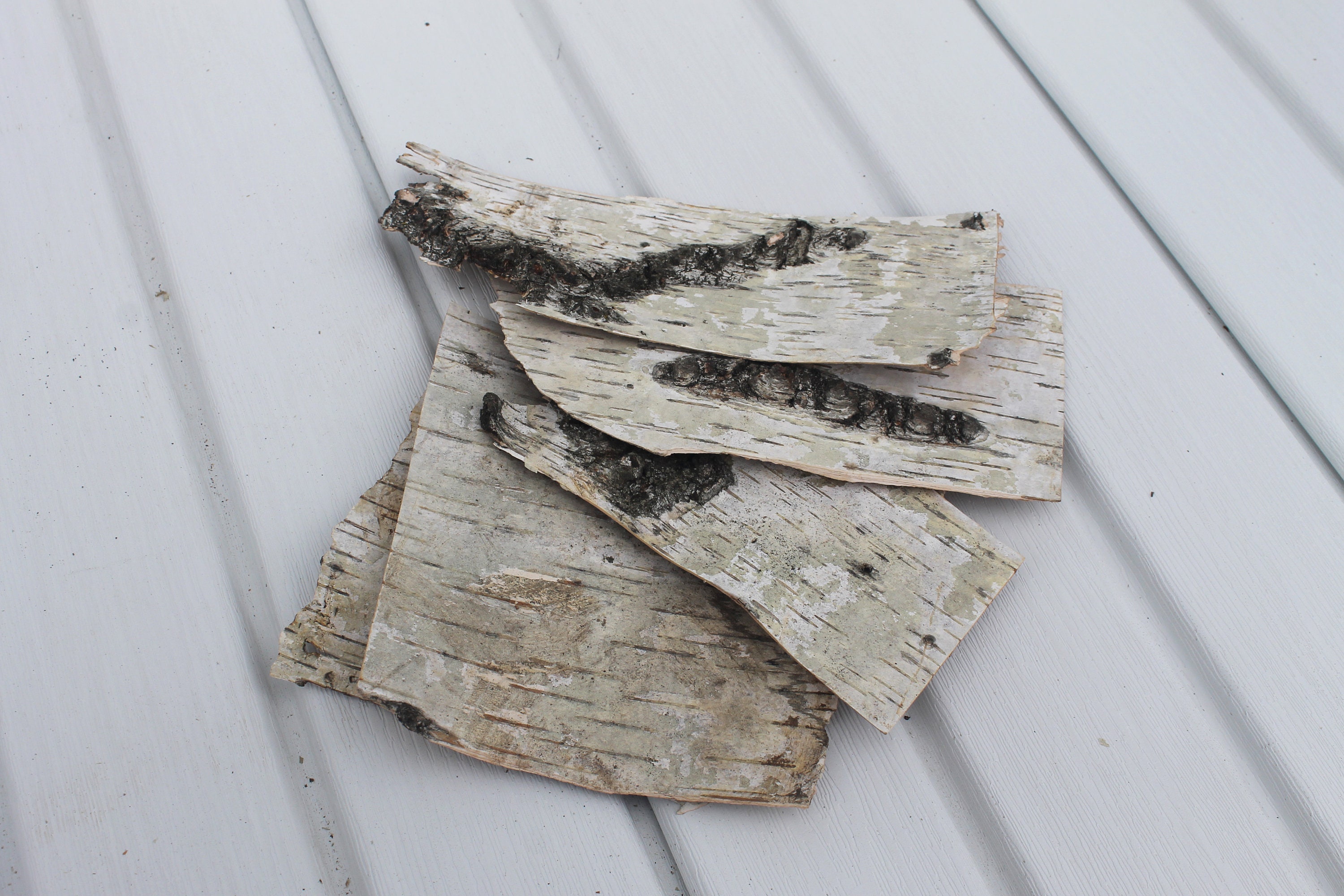 5 Birch Bark Sheets Tree Bark for Crafts - Etsy