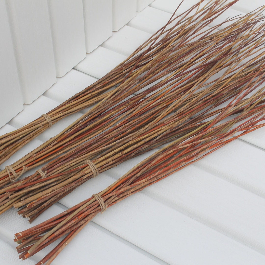 Dried Willow Branches for Vase Tree Branches Centerpiece - Etsy