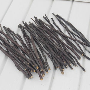Wood Sticks for Crafts Apple Tree Branches - Etsy