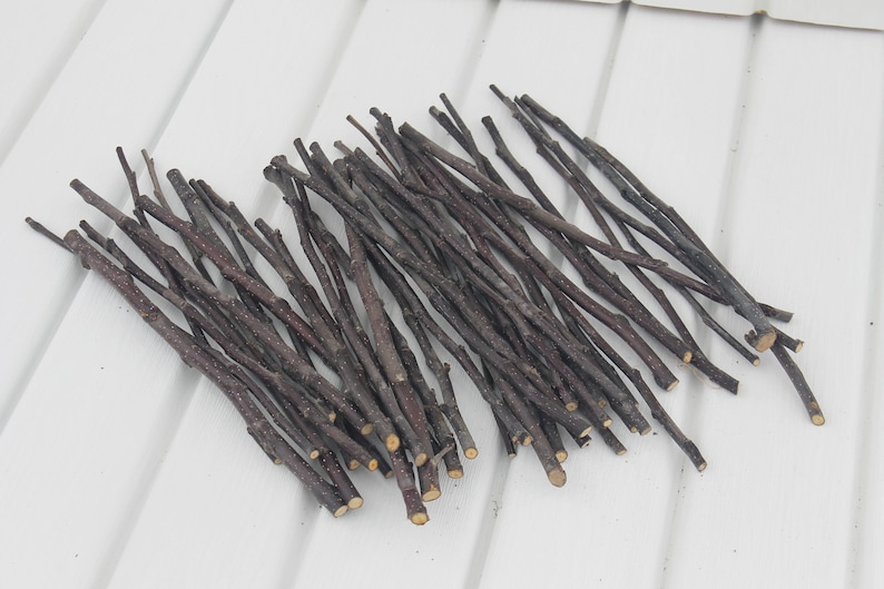 Wood Sticks for Crafts Apple Tree Branches - Etsy