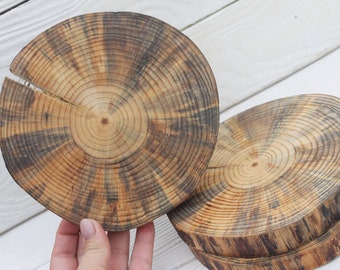 Pine Wood Slices - Etsy