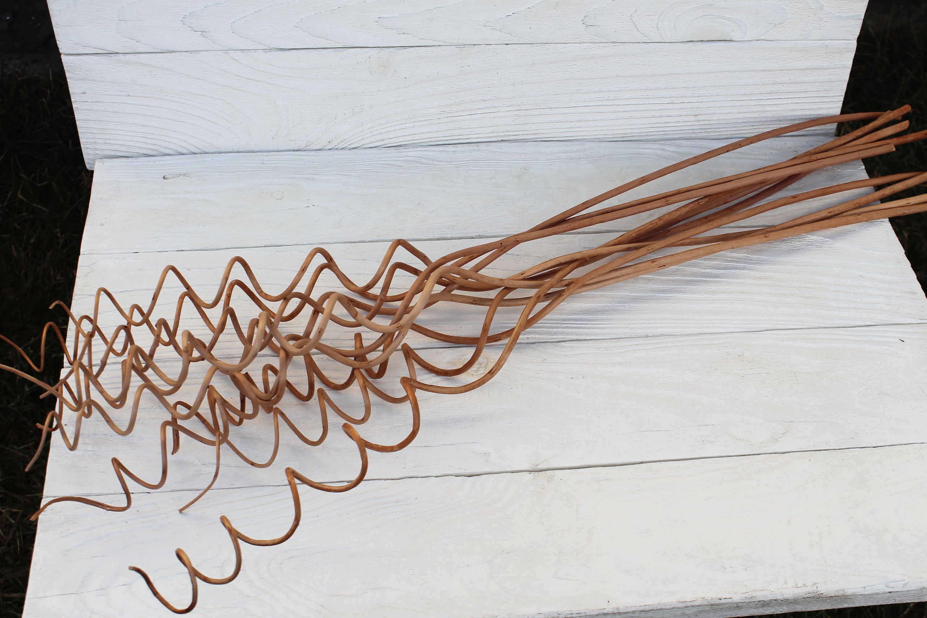 25"-26" Curly Willow Branches Twisted Twigs Decor Wood Sticks for Vase ...