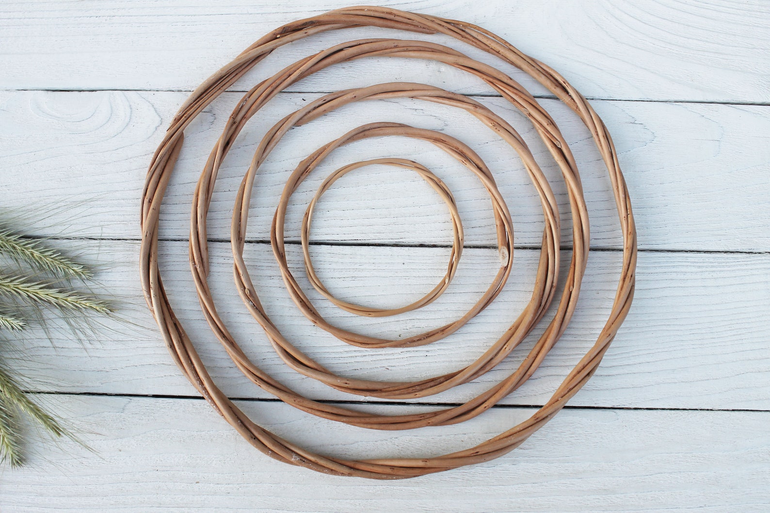 Willow Hoop for Diy - Etsy