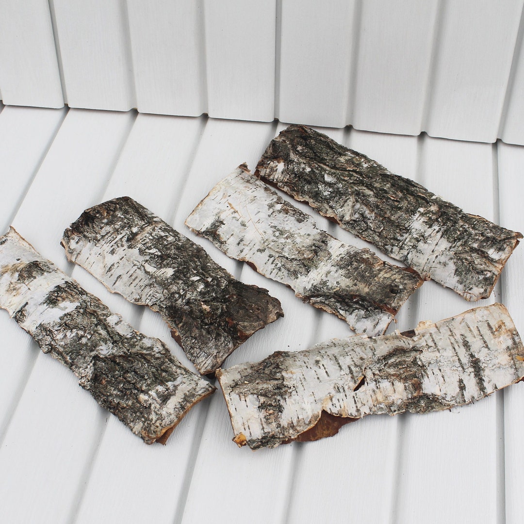 5 Birch Bark Sheets Thick Tree Bark for Crafts - Etsy
