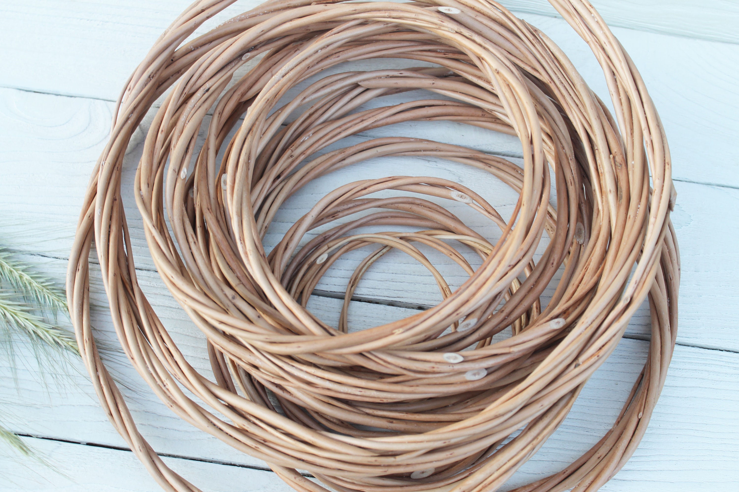 Willow Hoop for Diy - Etsy