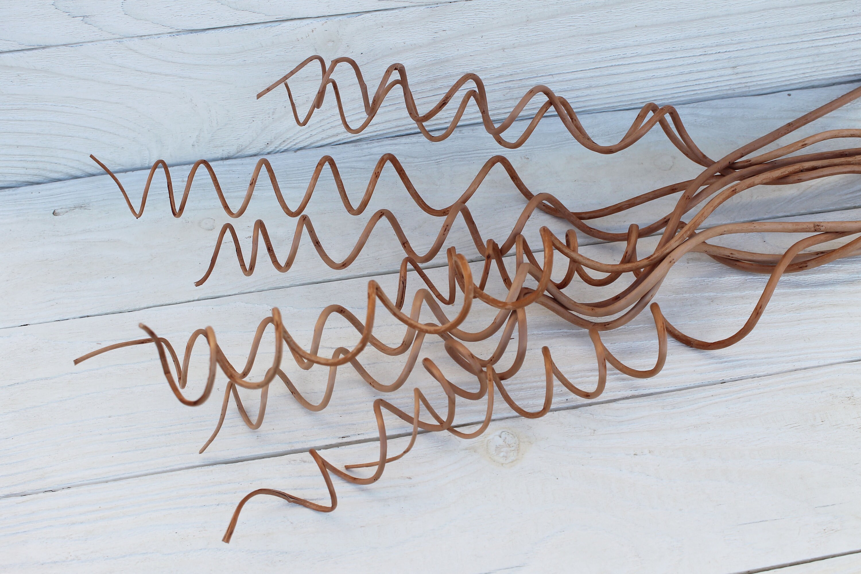 25"-26" Curly Willow Branches Twisted Twigs Decor Wood Sticks for Vase ...