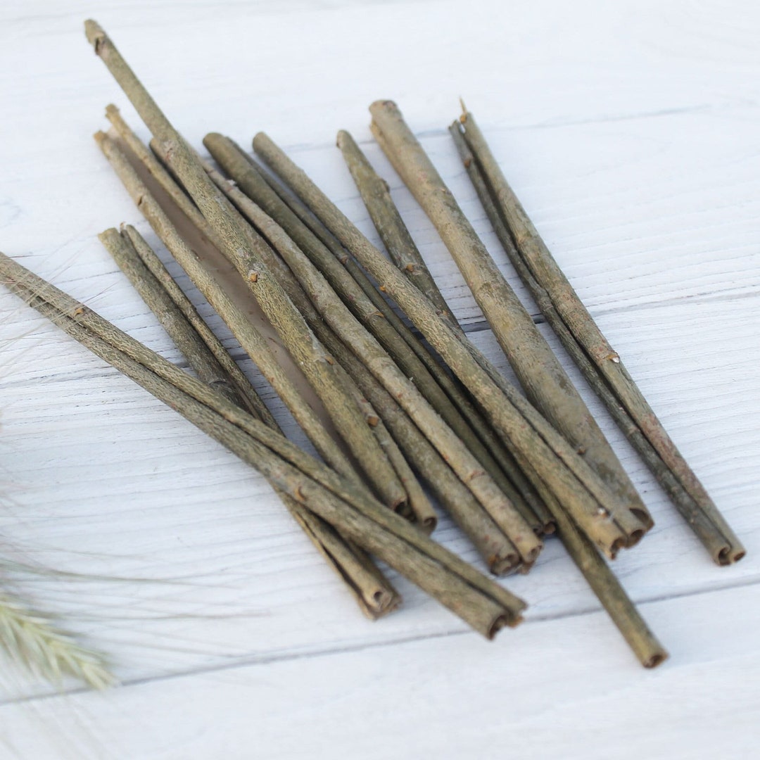 Willow Bark Crafts Dried Plant Material - Etsy