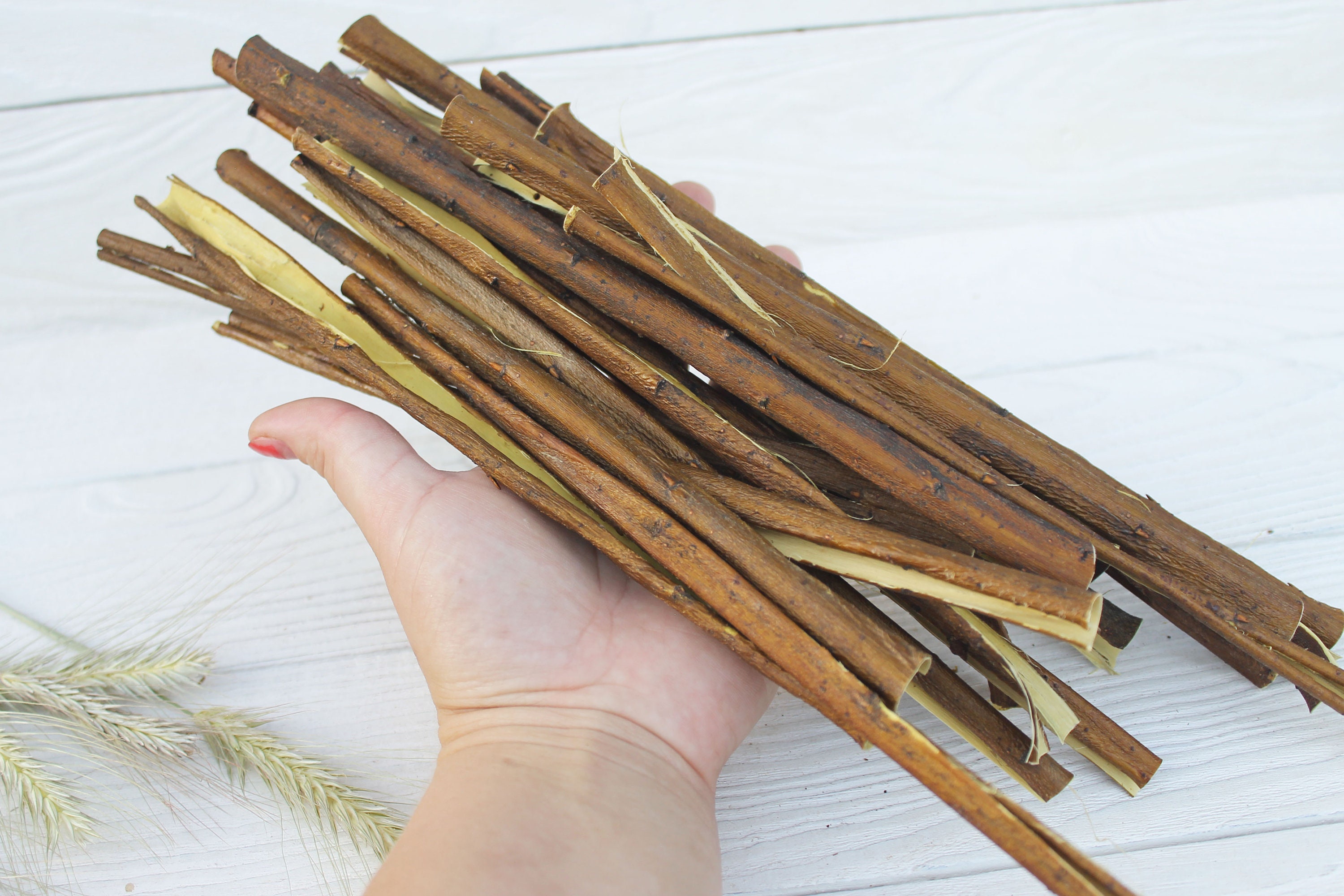 Dried Willow Bark for Crafts Tree Bark - Etsy
