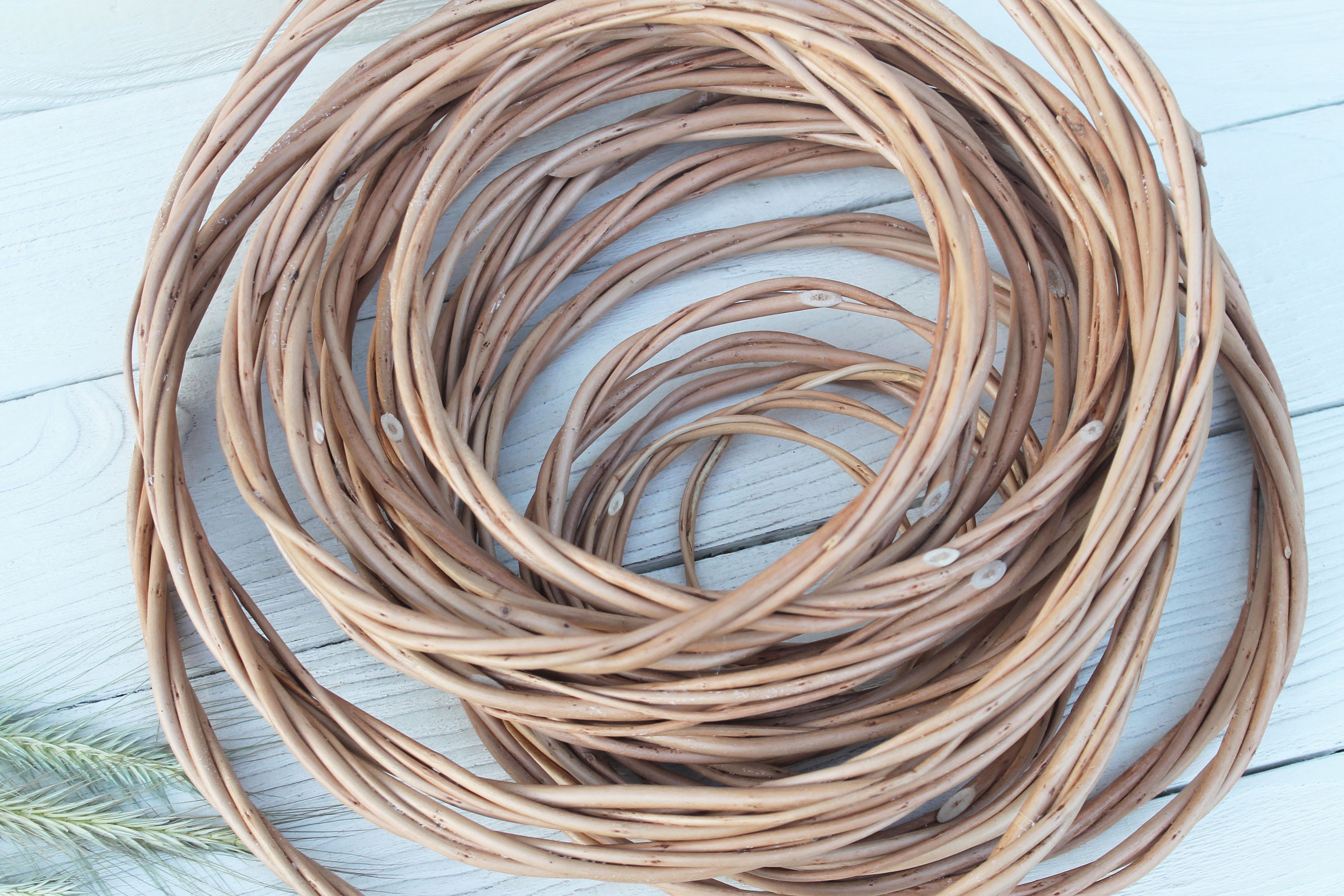 Willow Hoop for Diy - Etsy