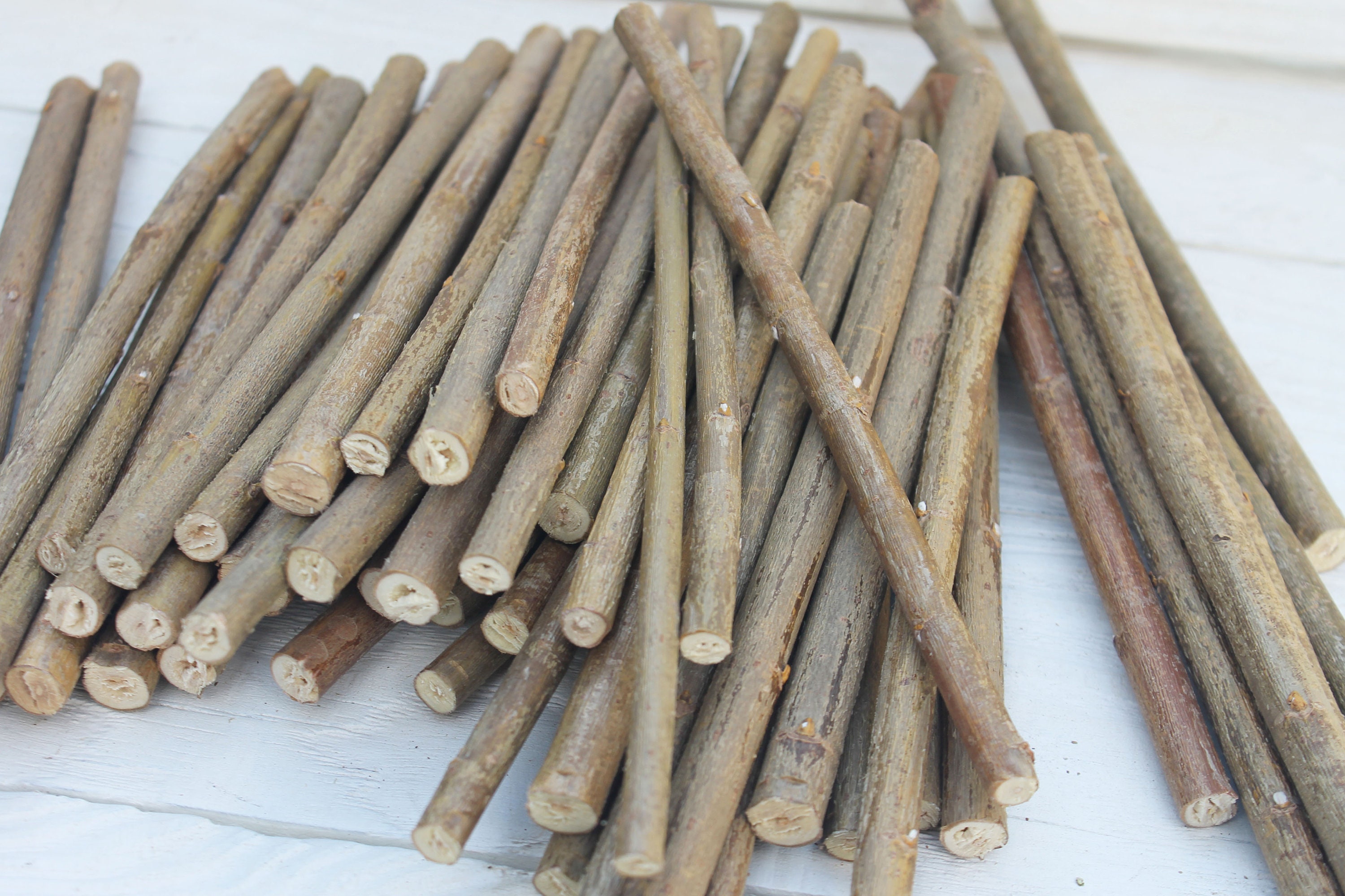 50 Willow Sticks Wood Branches for Crafting - Etsy