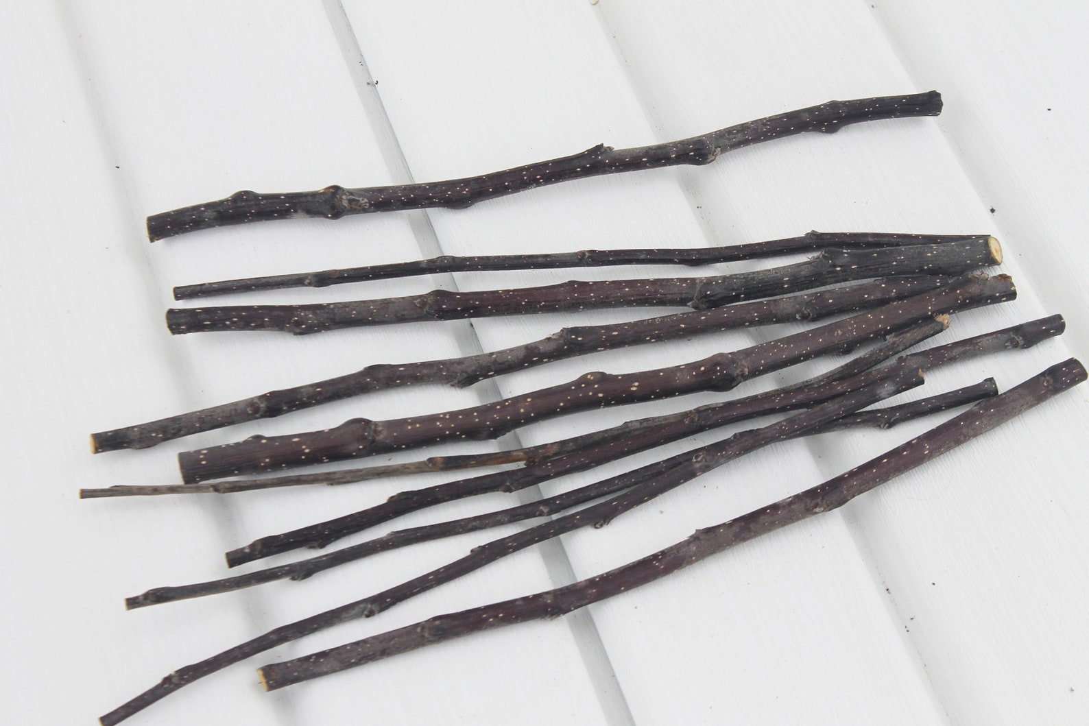 Wood Sticks for Crafts Apple Tree Branches - Etsy