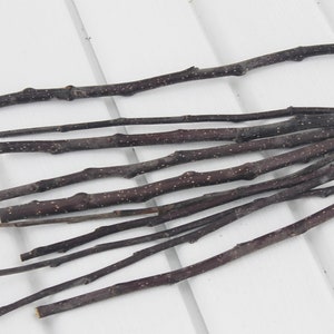 Wood Sticks for Crafts Apple Tree Branches - Etsy