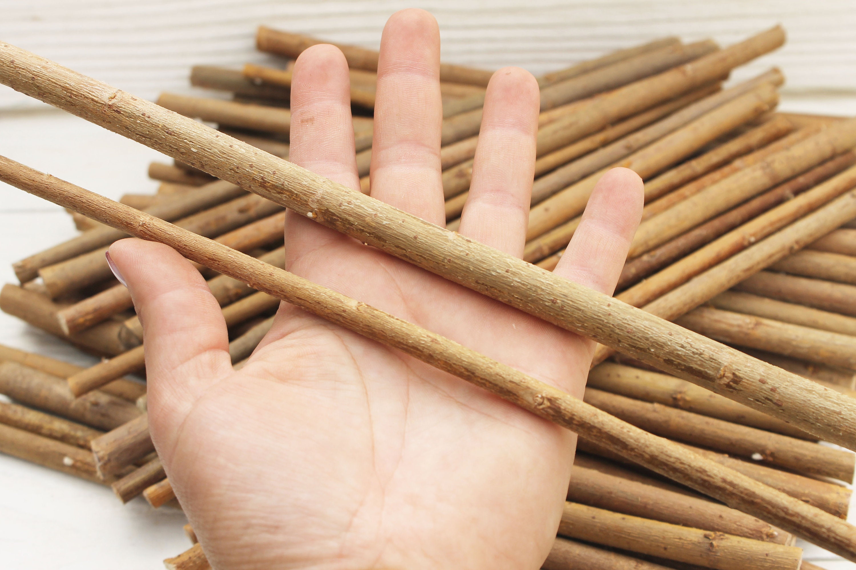 50 Willow Sticks Wood Craft Sticks Tree Branches - Etsy