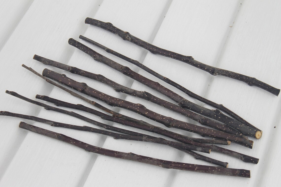 Wood Sticks for Crafts Apple Tree Branches - Etsy