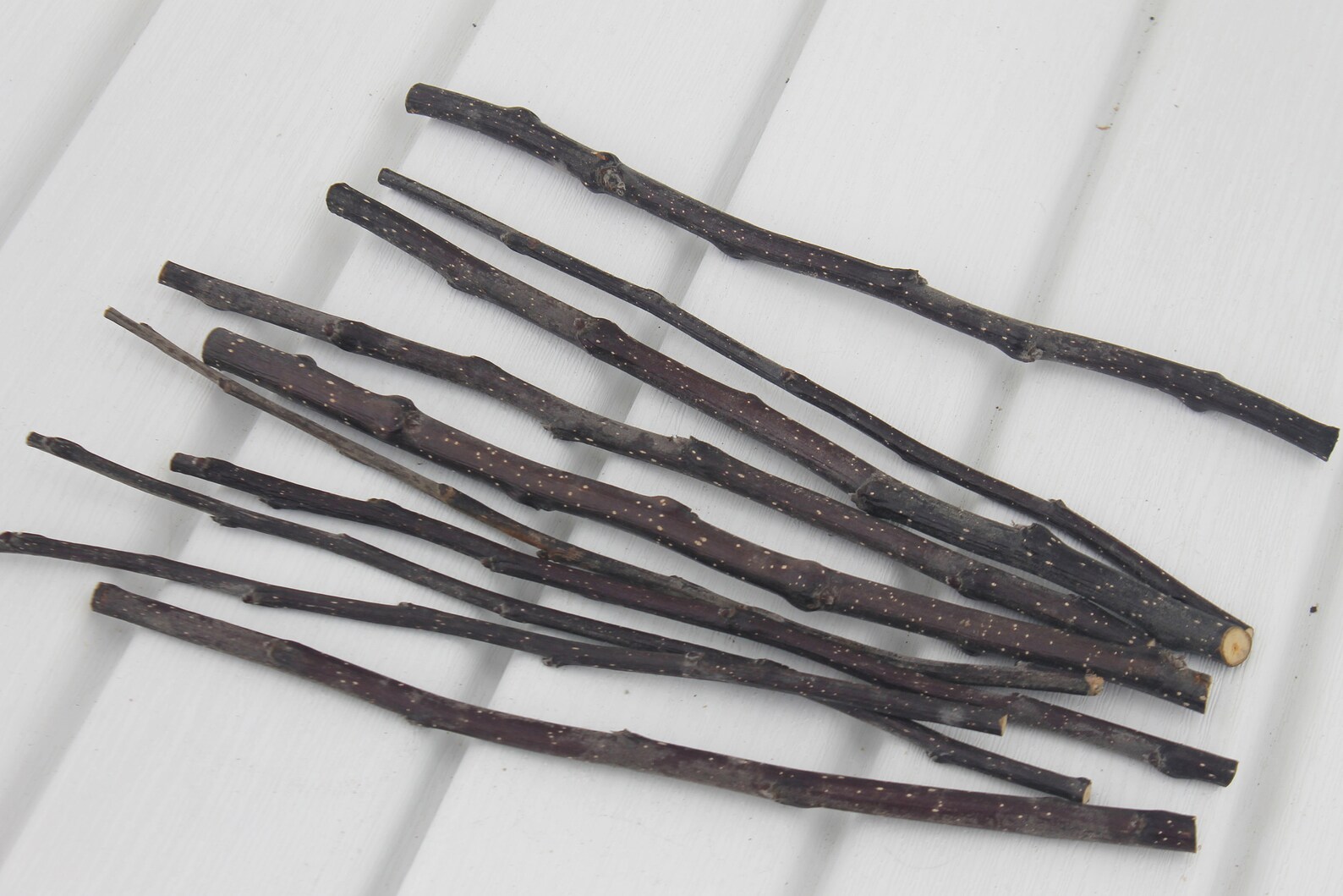 Wood Sticks for Crafts Apple Tree Branches - Etsy