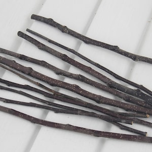 Wood Sticks for Crafts Apple Tree Branches - Etsy