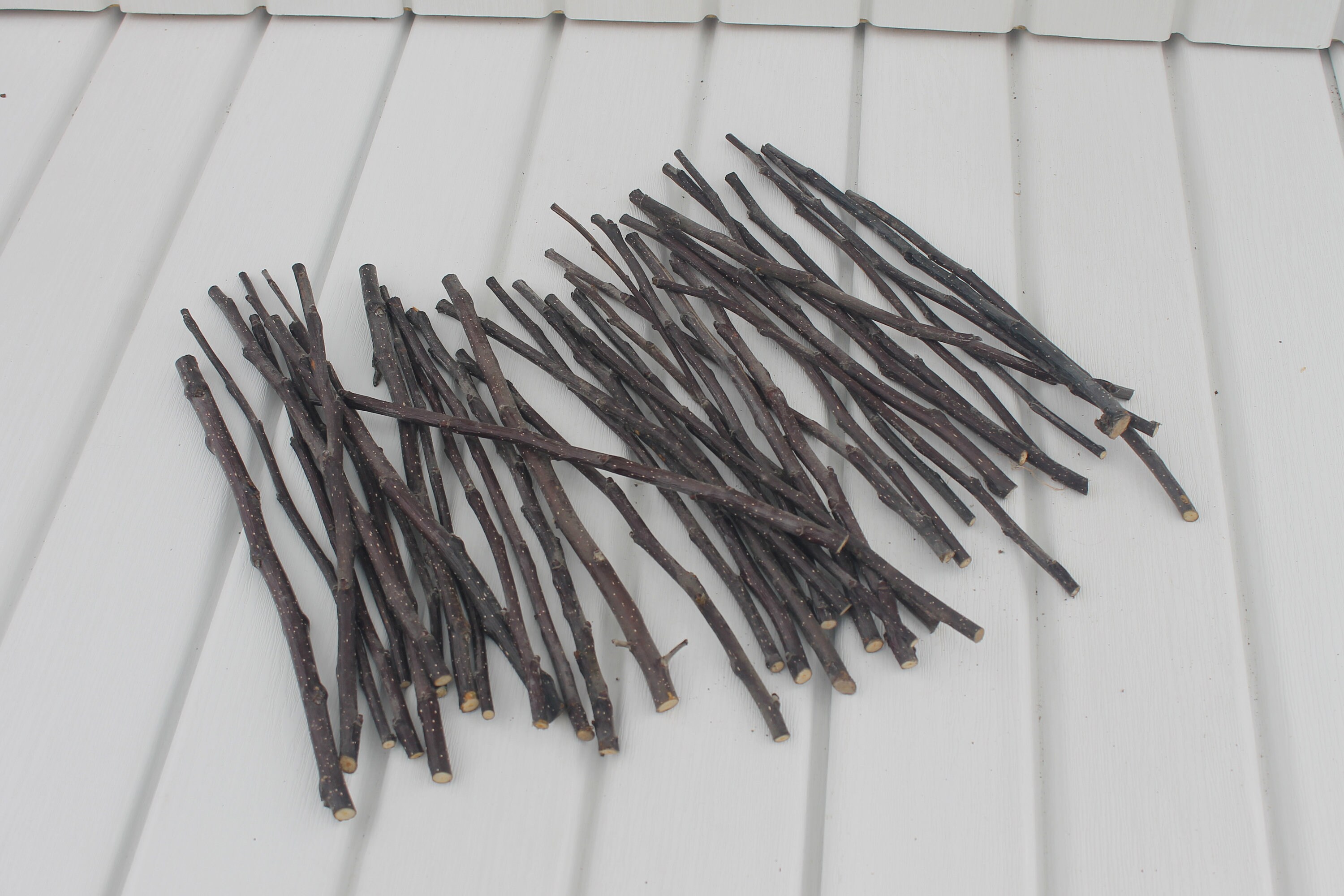 Wood Sticks for Crafts Apple Tree Branches - Etsy
