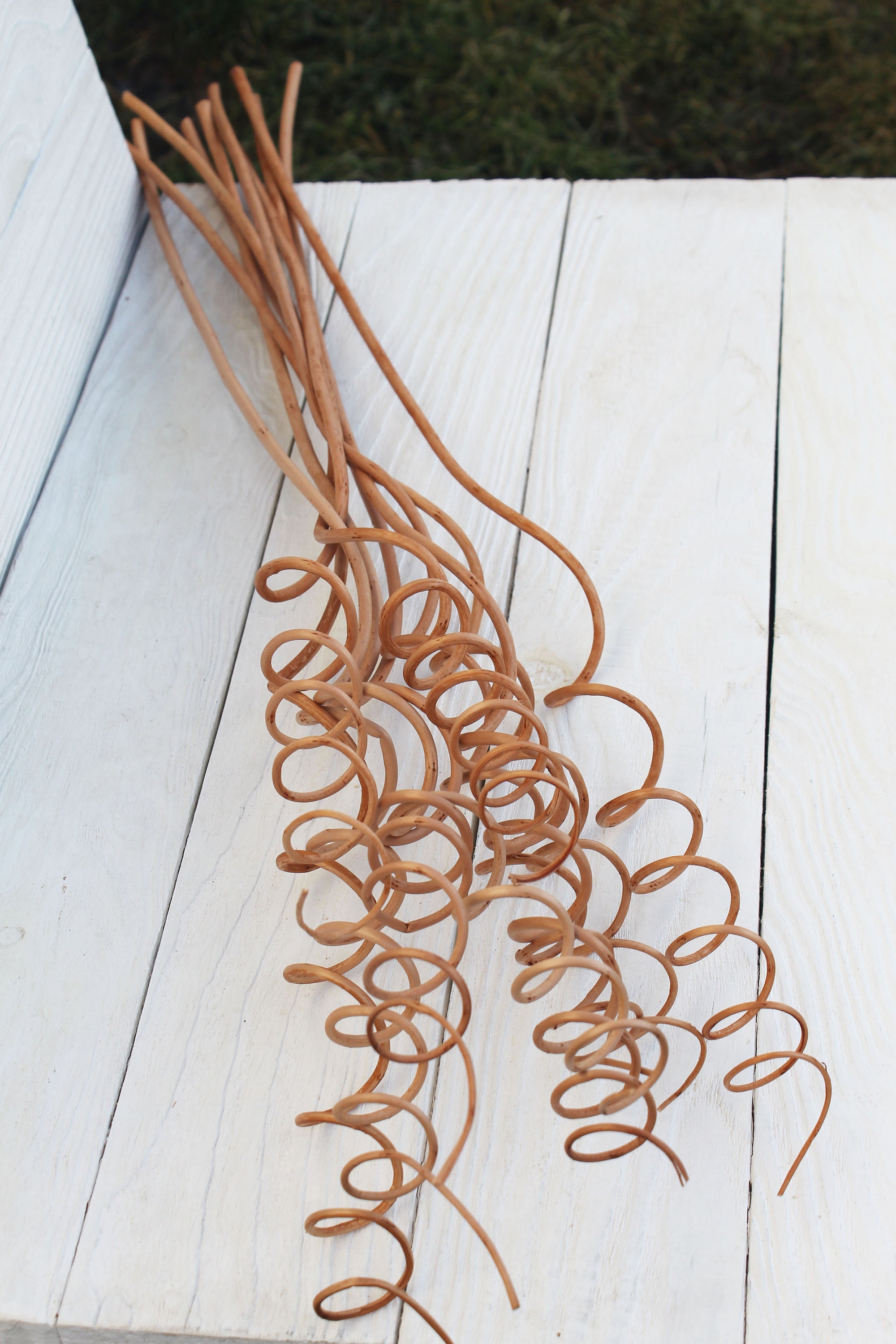 25"-26" Curly Willow Branches Twisted Twigs Decor Wood Sticks for Vase ...