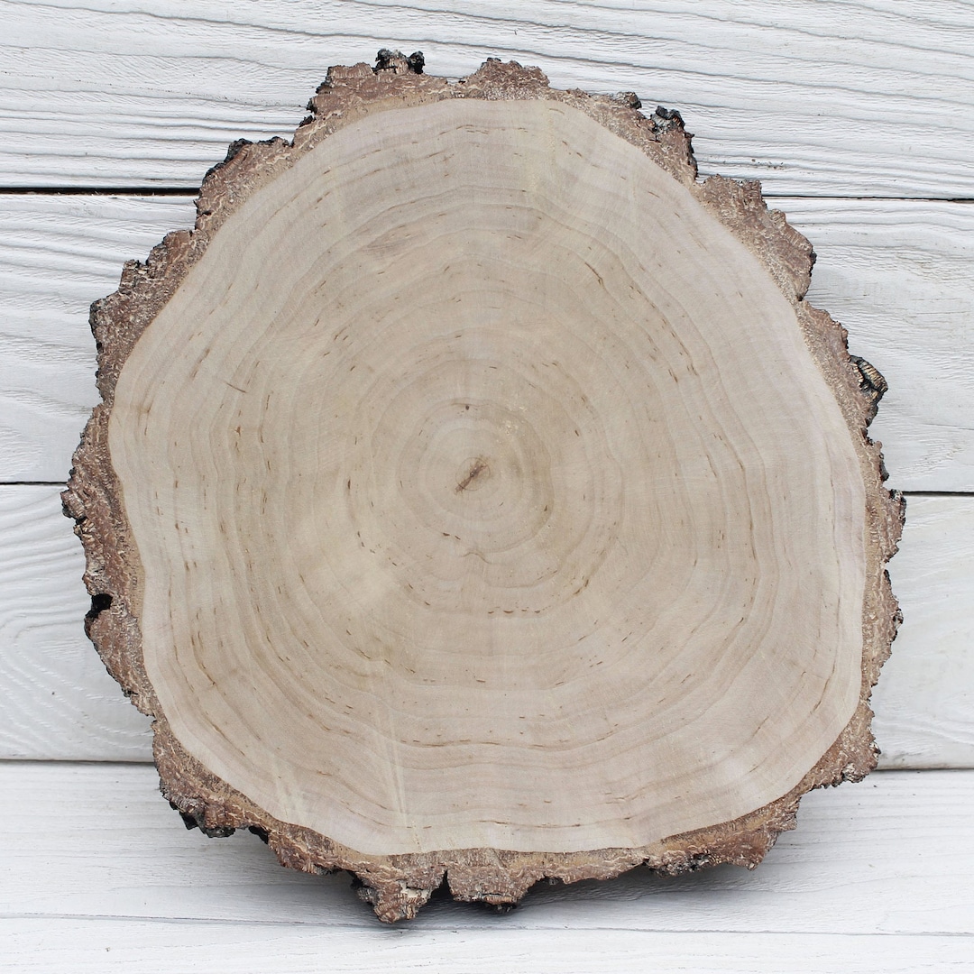 Wood Slices for Centerpieces Large Birch Slice Wood Rounds for Crafts ...