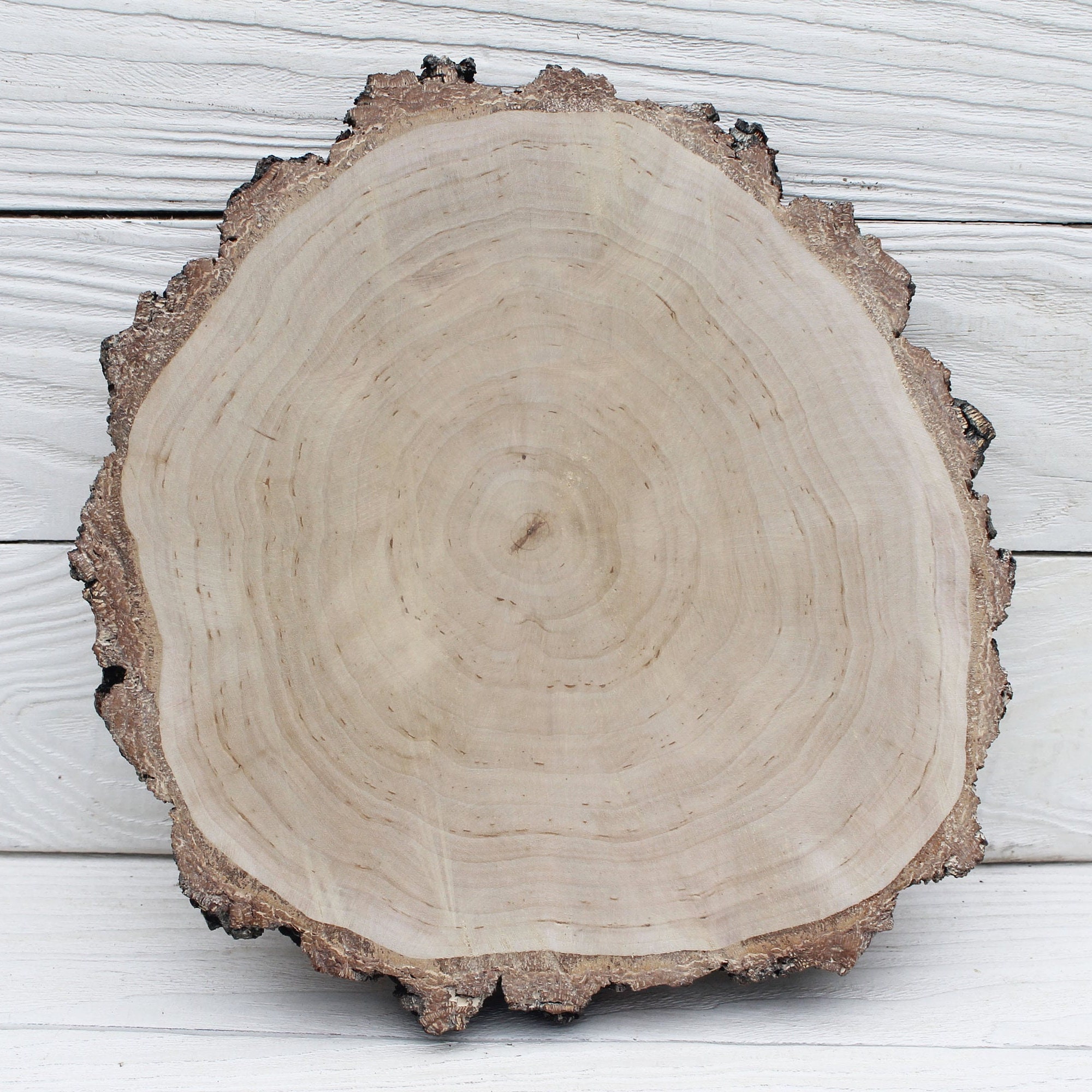 Wood Slices for Centerpieces Large Birch Slice Wood Rounds for Crafts ...