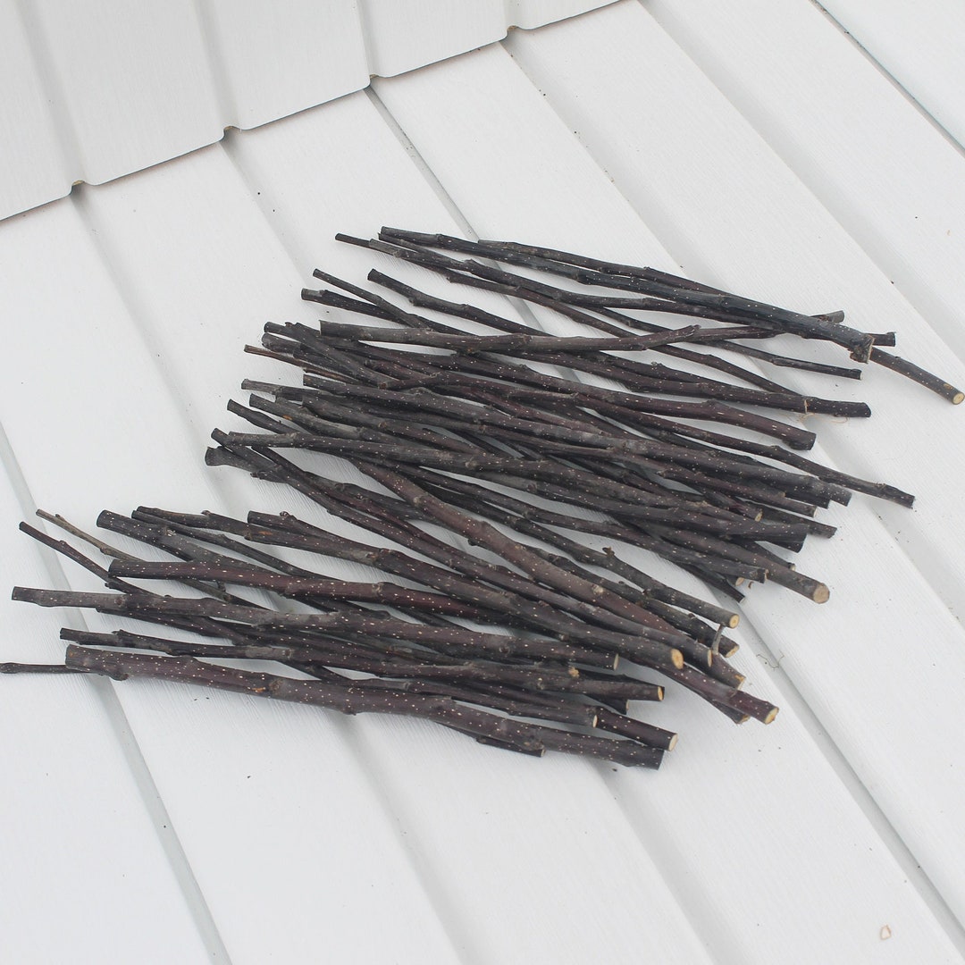 Wood Sticks for Crafts Apple Tree Branches - Etsy