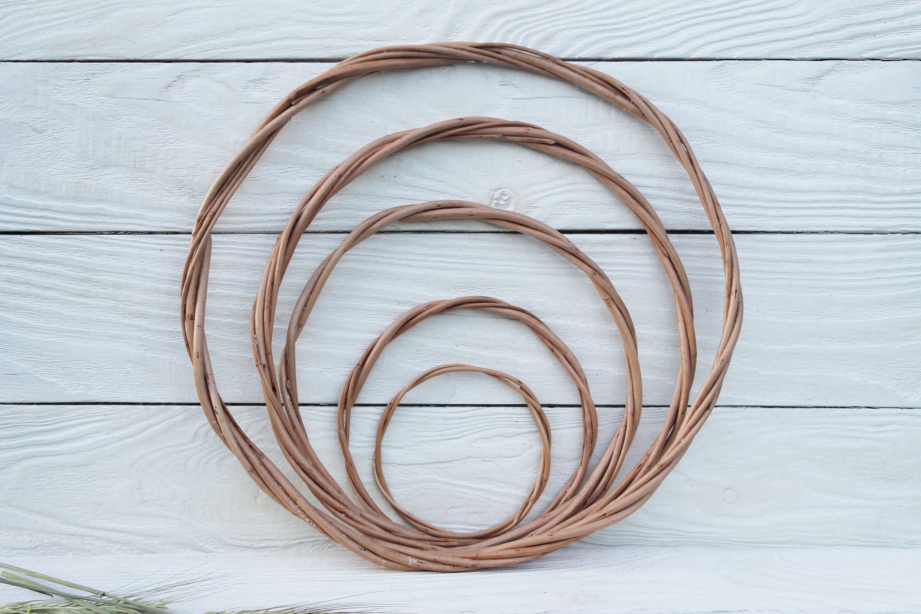 Willow Hoop for Diy - Etsy