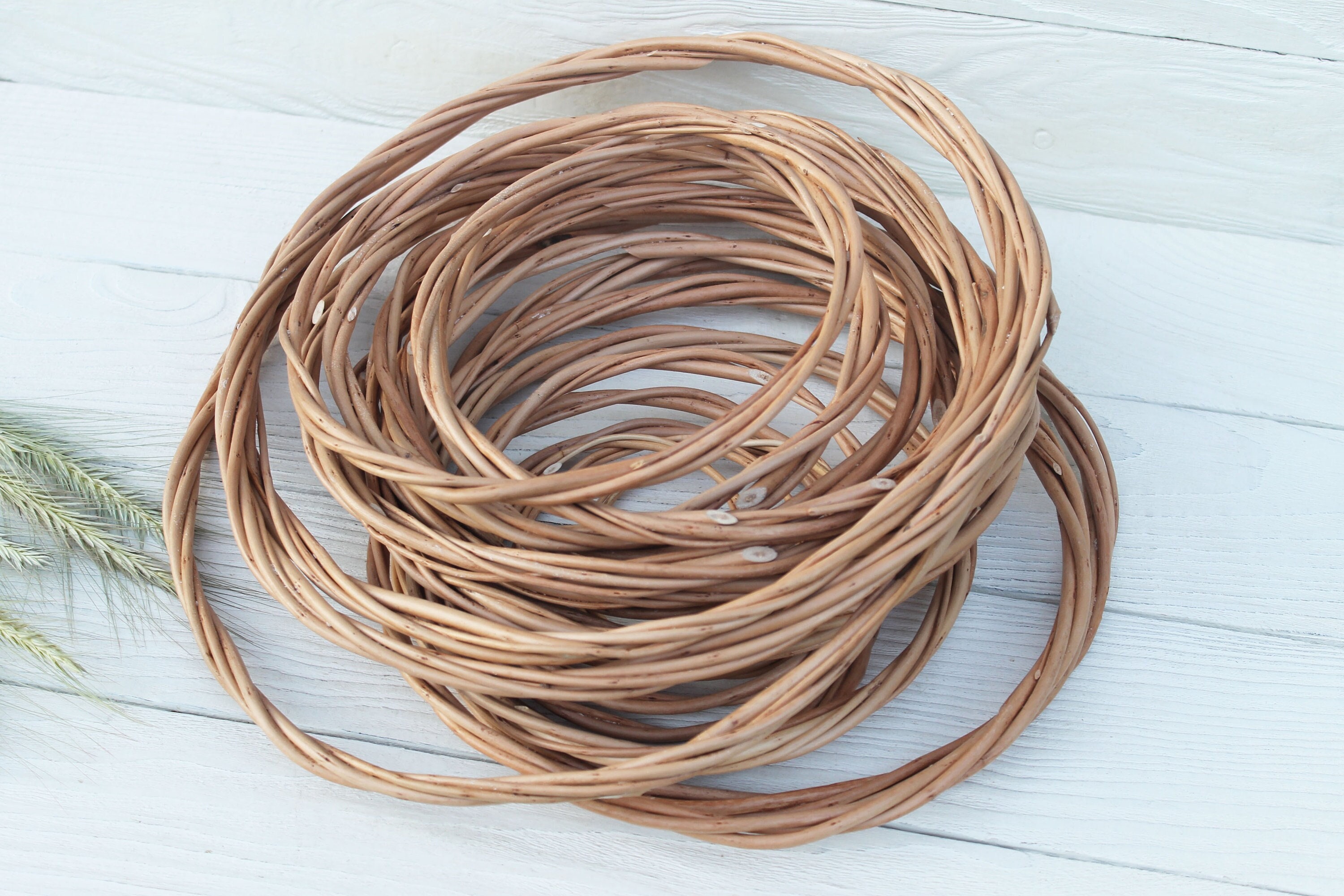 Willow Branches Wreath Dreamcatcher Hoop - Etsy
