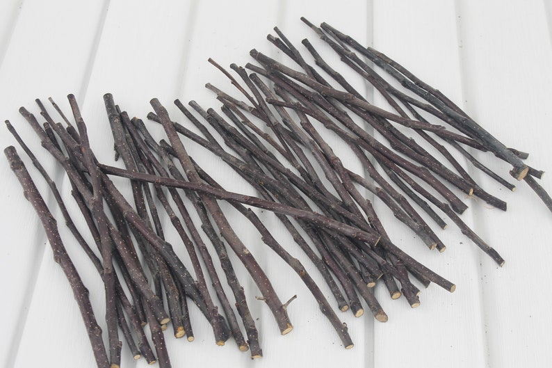 Wood Sticks for Crafts Apple Tree Branches - Etsy