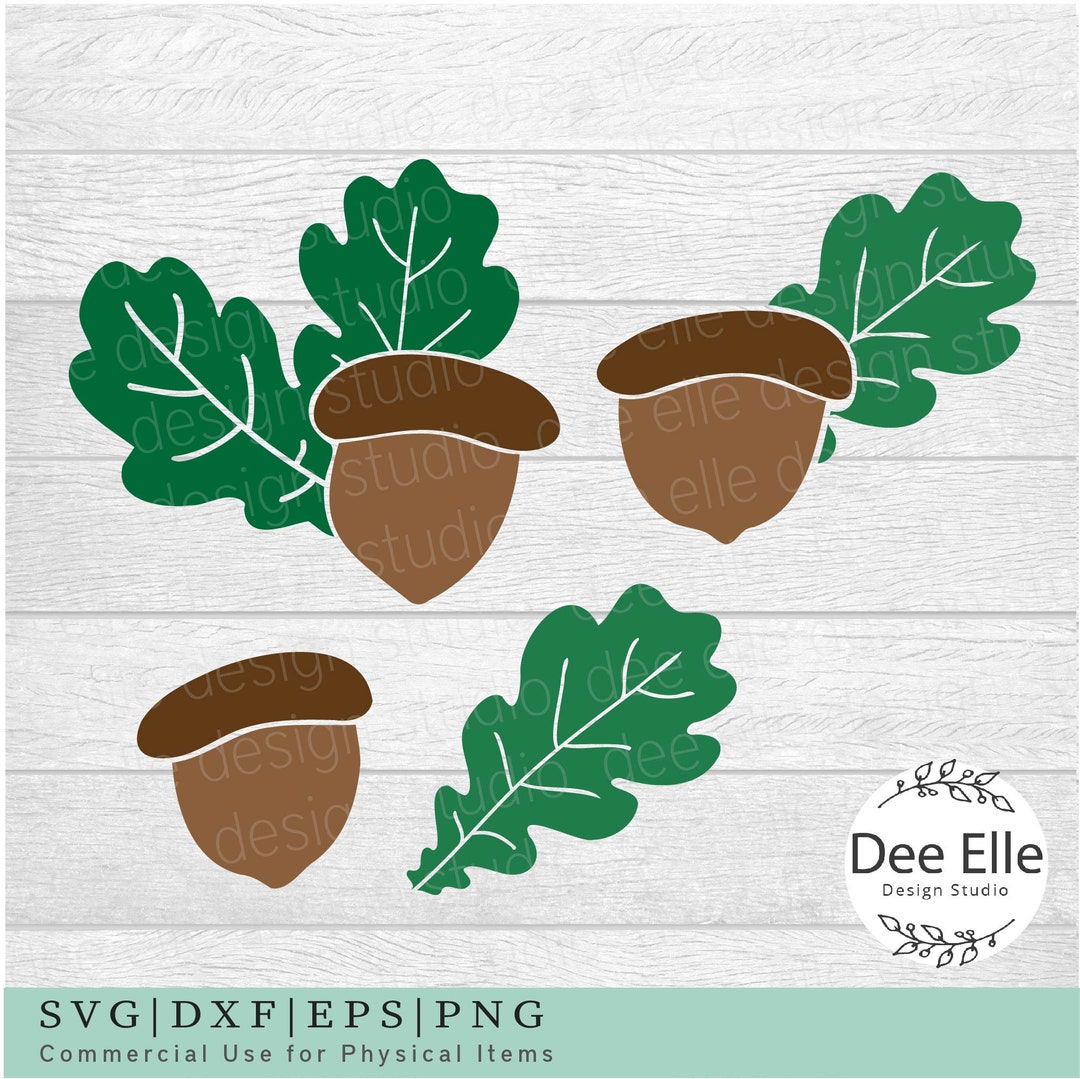 Acorn Svg Bundle Acorn Svg Fall Svg Autumn Svg Thanksgiving Svg Fall Leaves Svg Acorn Cut