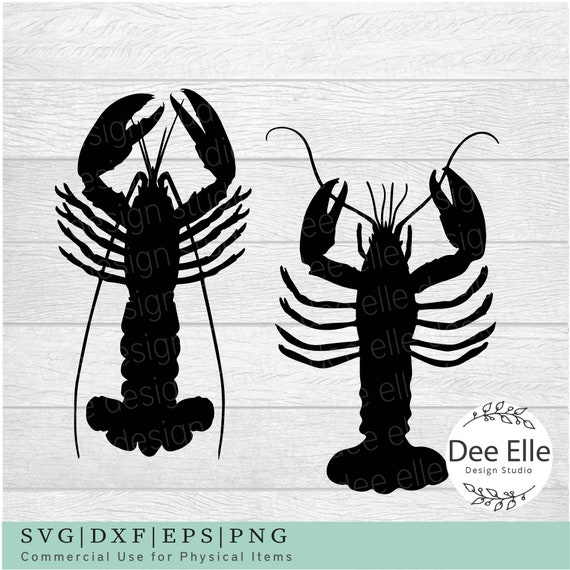 Lobster SVG Bundle Seafood Svg Beach Svg Sea Life Svg - Etsy