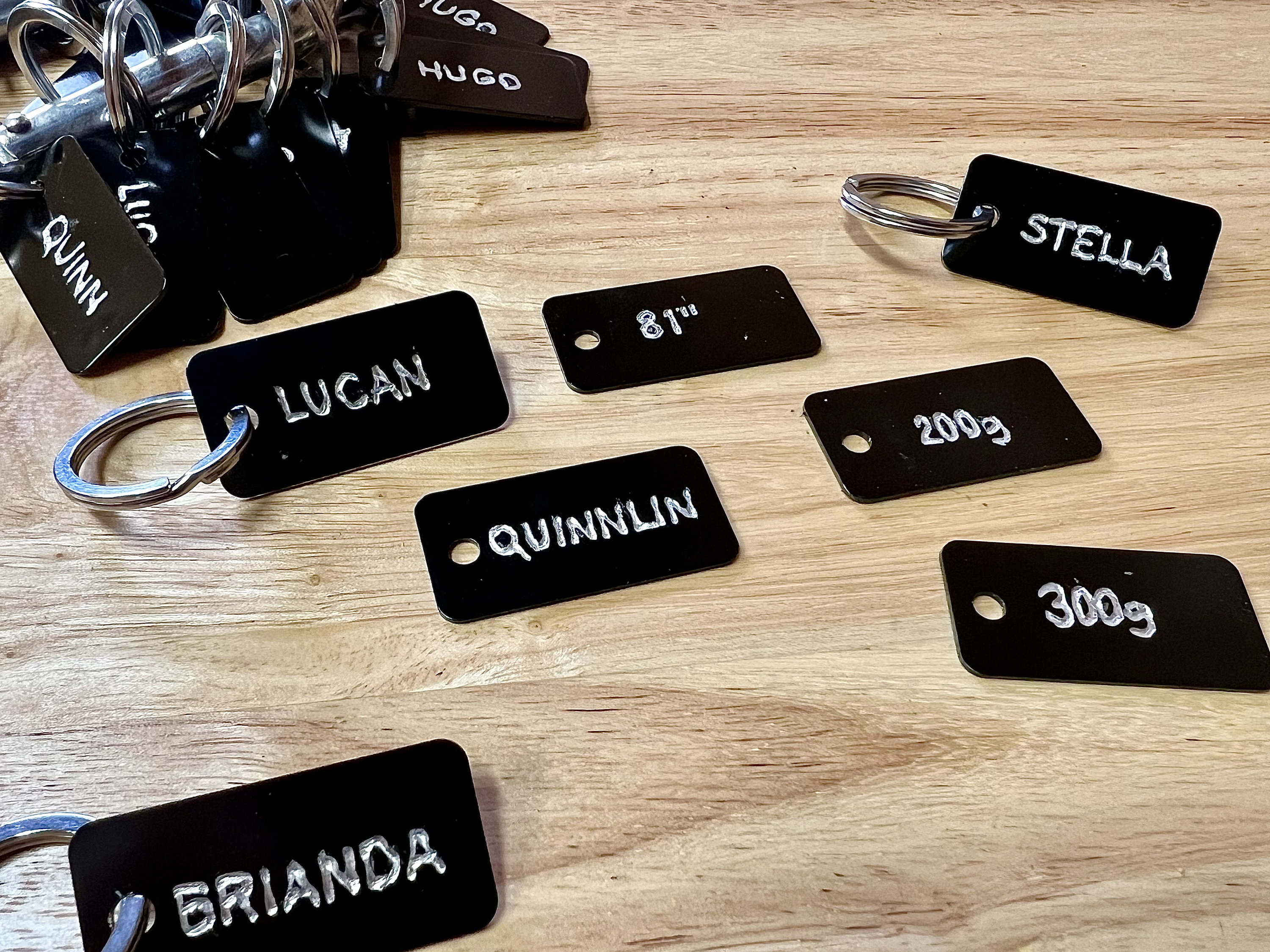 Custom Hand Engraved Horse Name Tags - Etsy