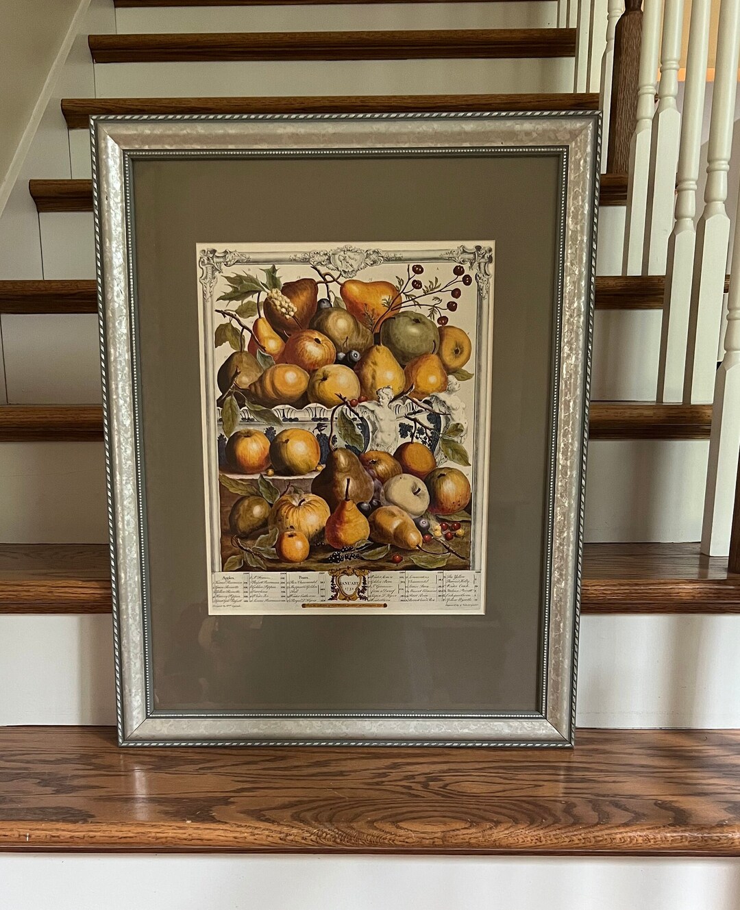 Very Large Framed Robert Furber Fruit Print ~ Fruit of the Month ...