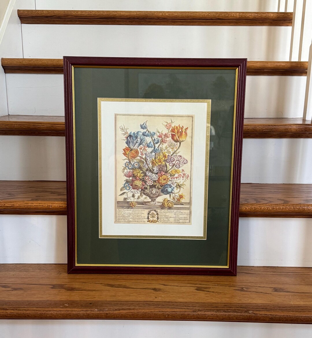 Robert Furber Botanical Flower of the Month ~ Beautiful Summer Flowers ...