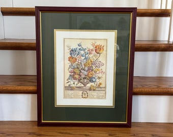 1975 Robert Furber - Framed Botanic Print of August - Etsy