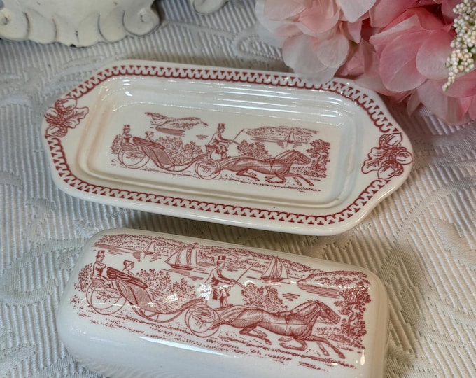 Vintage Memory Lane Pink Serving Piece by Royal China Transferware ...