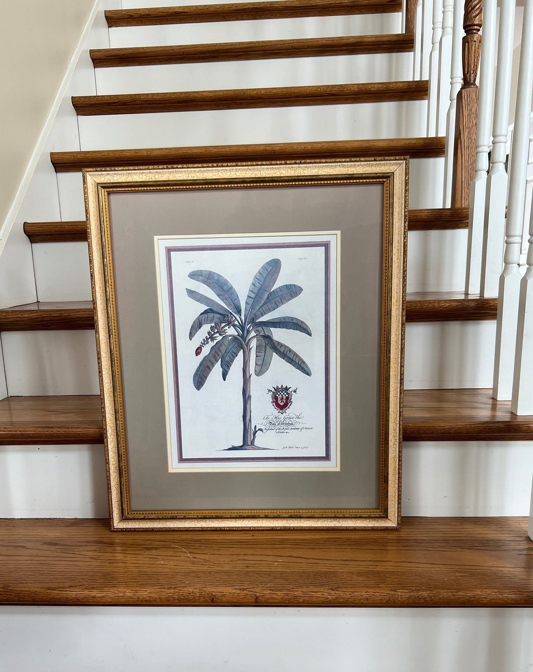 TROPICAL LEAF PRINT ~ Banana Tree Print ~ Botanical Wall Art - Etsy