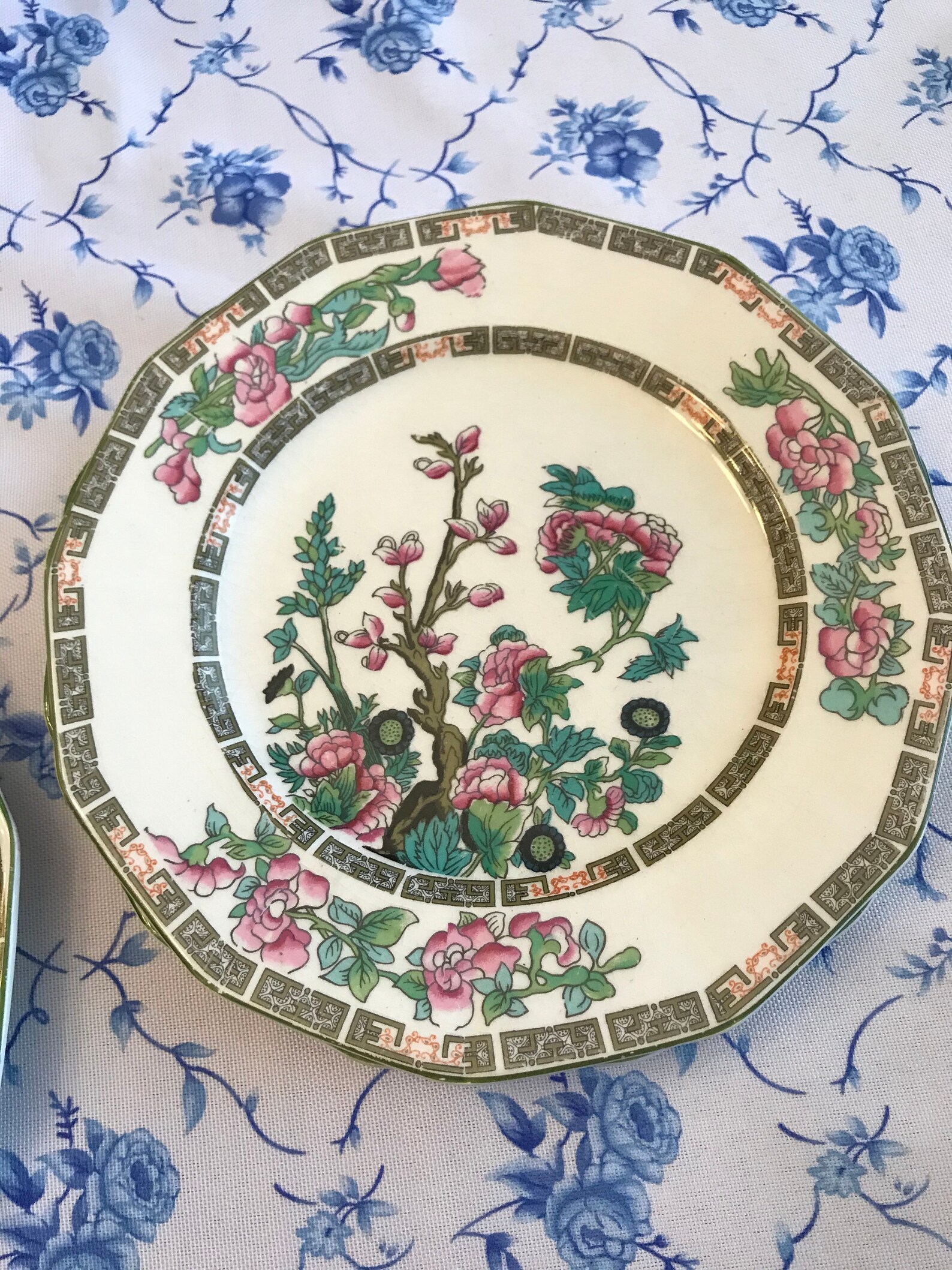 Indian Tree by Myott & Son Salad Plates Set of 3 | Etsy