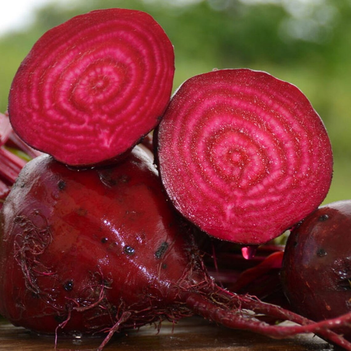 50 Seeds-Organic Detroit Beetroot Crimson Globe 2 Seed-Dark | Etsy