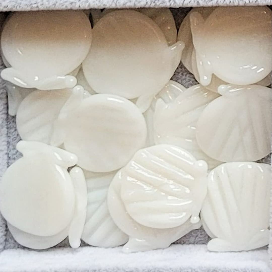 Icon White Shell / Conchita Blanca Dekostein Scatter Decoration Mouth ...