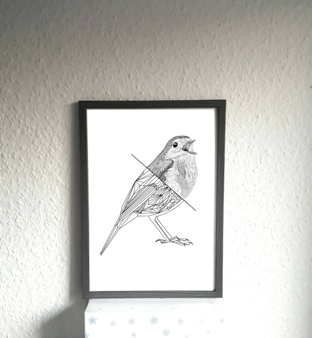 Poster Living Room, Robin, Black and White, Picture, Drawn, Art Print ...