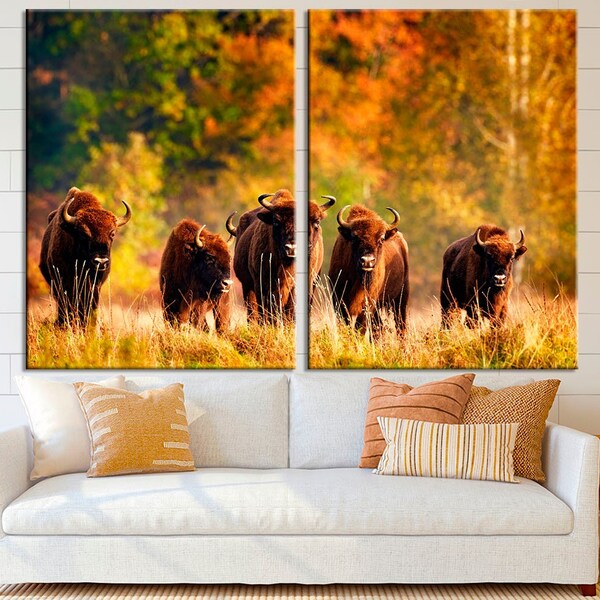 Bison Photo Wall Art - Etsy