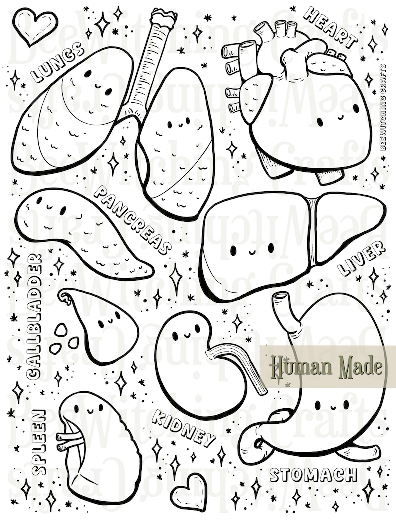 Cute Anatomy Coloring Page (physiology, PDF, Printable) - Etsy