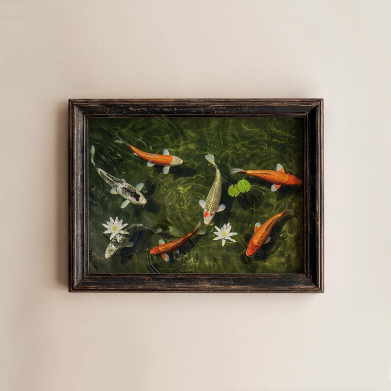 Koi Fish Pond Photography Print, Japanese Wall Art, Nature Decor - Etsy