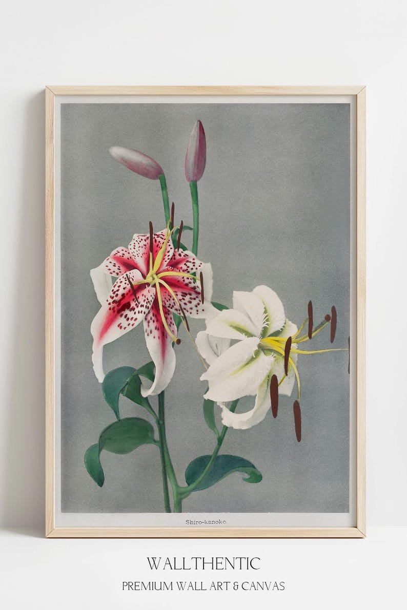 Lilies by Ogawa Kazumasa Print, Floral Art Print, Botanical Japanese ...