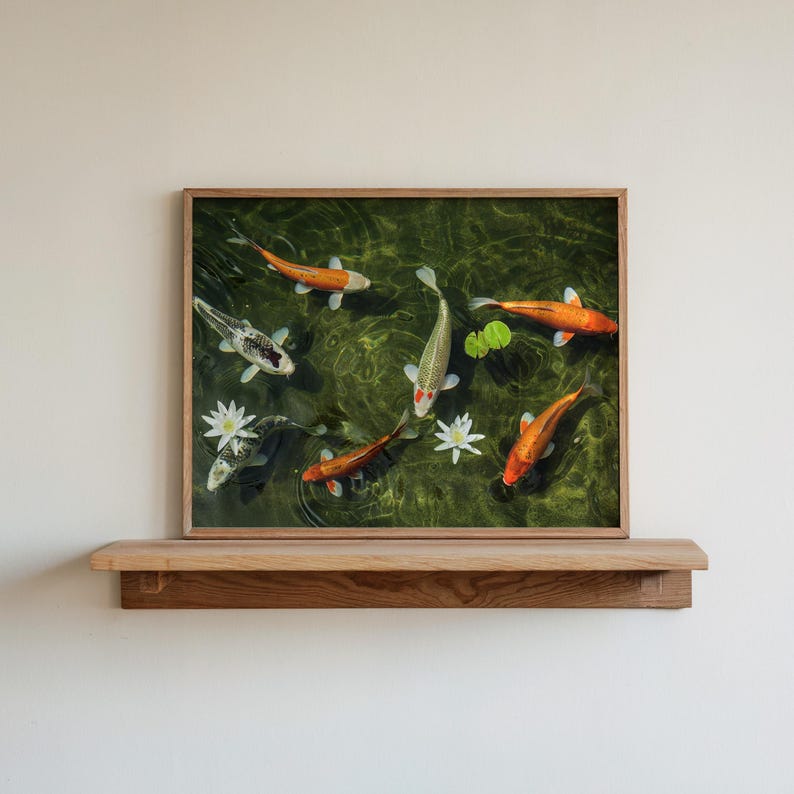 Koi Fish Pond Photography Print, Japanese Wall Art, Nature Decor - Etsy