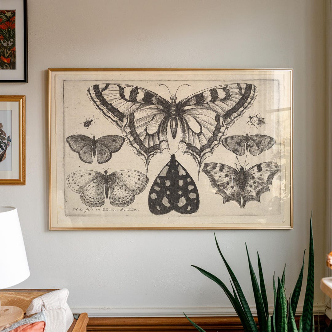 Five Butterflies a Moth and Two Beetles Print, Eclectic Wall Art ...