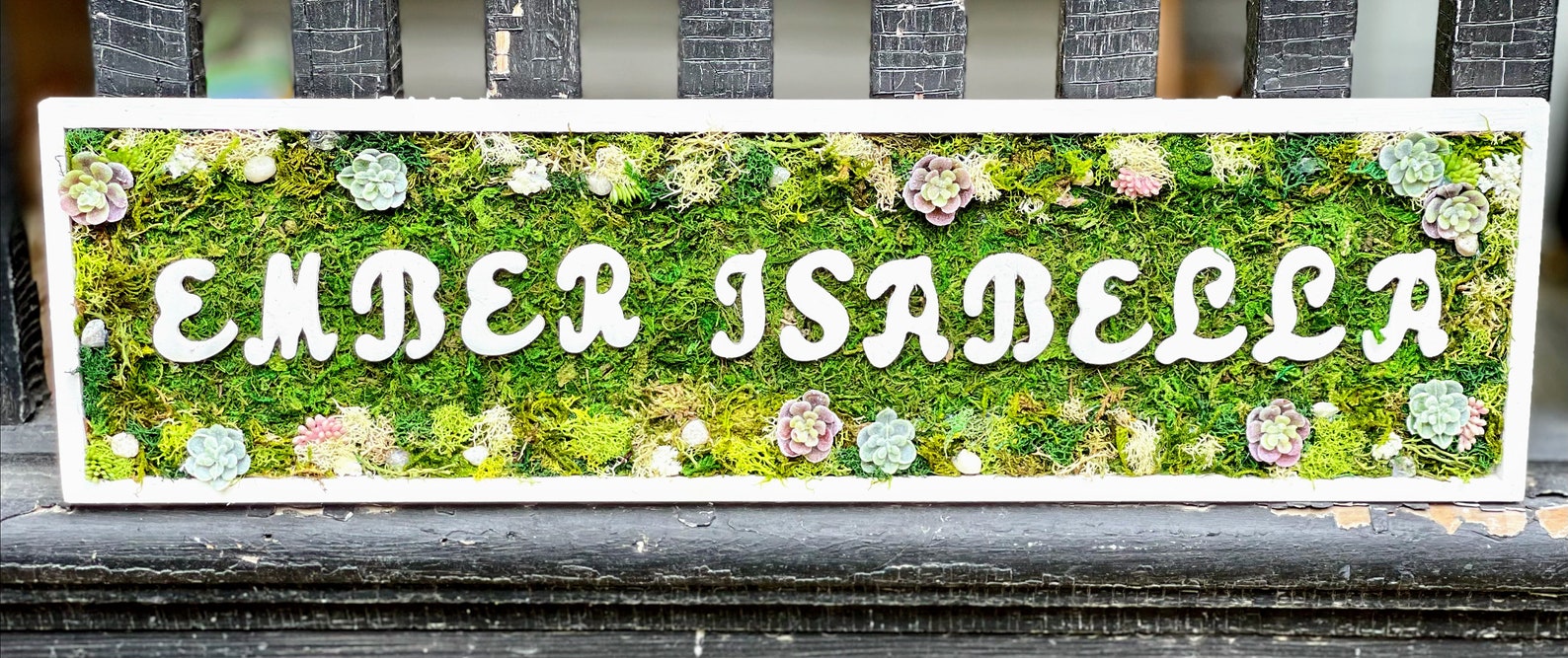 Custom Preserved Moss Name Sign Personalized Moss Wall Art - Etsy