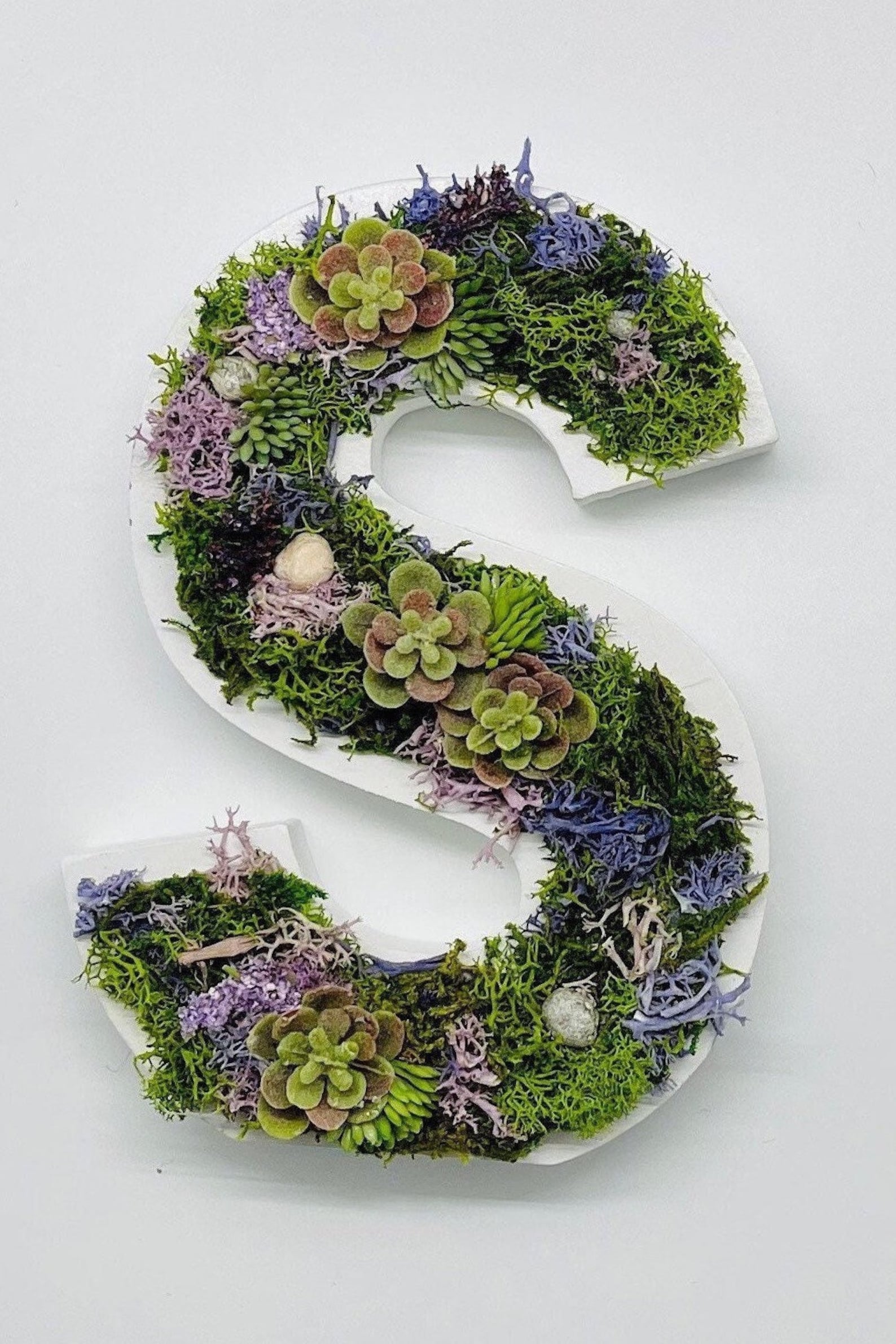 Moss Art Letter – Wood Monogram With Succulent and Preserved Moss Wall ...